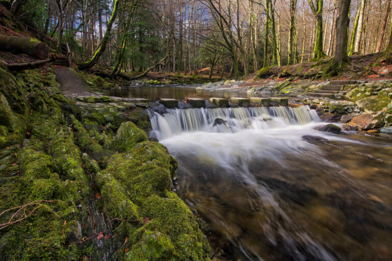 CS Lewis Attractions in Ireland and Where You’ll Find Them