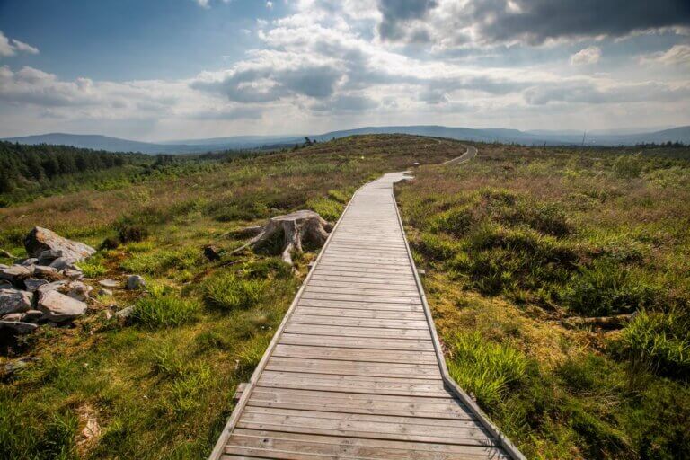 Cavan: Ireland's Lake County and Its Many Attractions