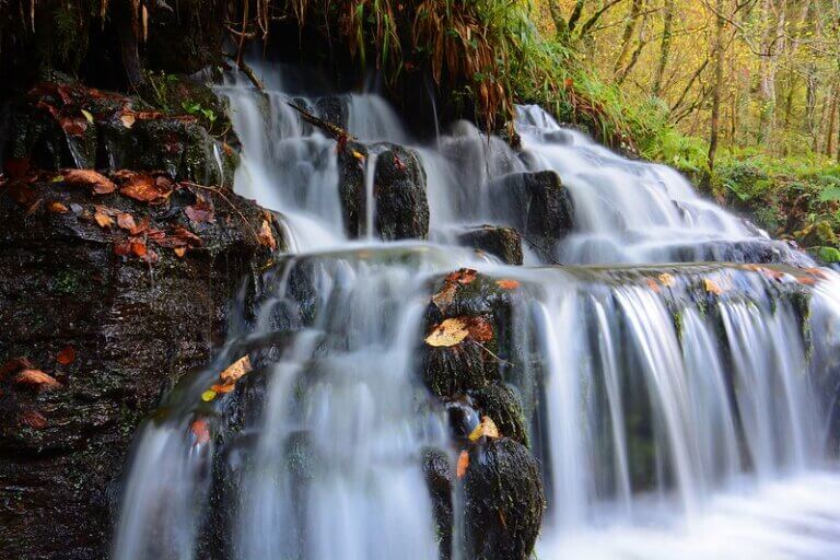 Cavan: Ireland's Lake County and Its Many Attractions
