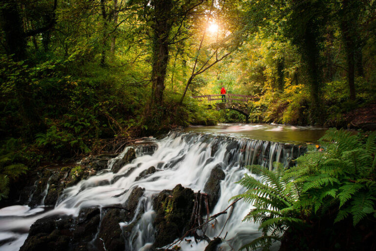 Fall Foliage in Ireland: 10 Places to Enjoy the Autumn Colors