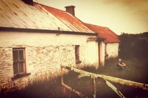 Original Stone Cottage in Meath, the Perfect Place to Stay