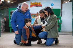 8 Animal Attractions in Ireland that Your Family Will Love